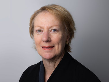 Bapcor - About - Board of Directors